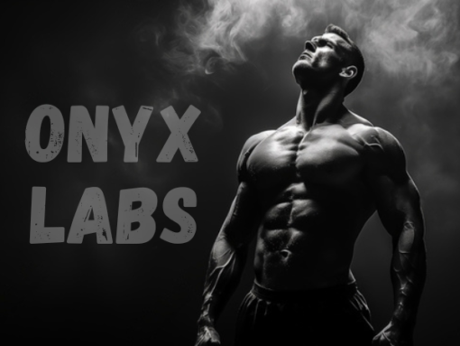 Home Page - theonyxlabs.com