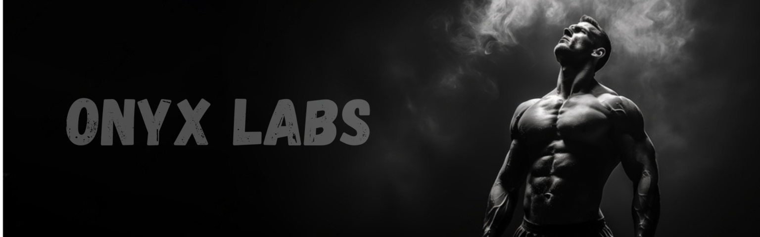 Home Page - theonyxlabs.com